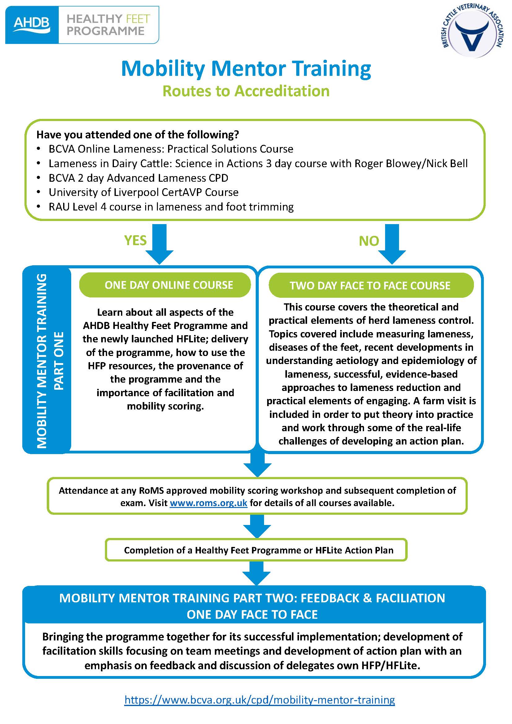 Mobility Mentor Training | BCVA